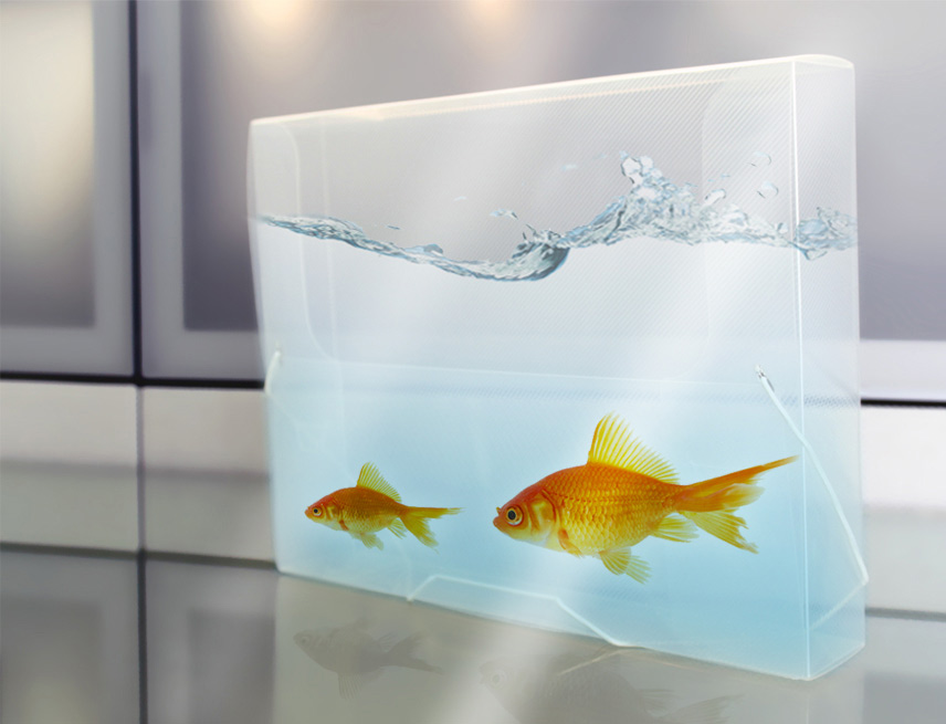 2-inch Capacity Plastic Document File Tote, Clear